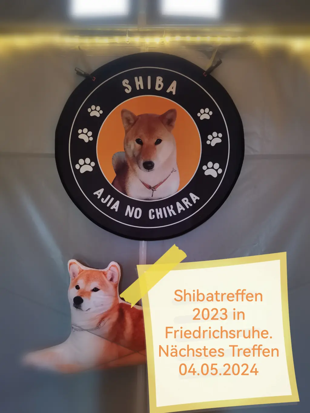 Rückblick auf unser Shibatreffen im Mai 2023 in Friedrichsruhe - Shiba MV